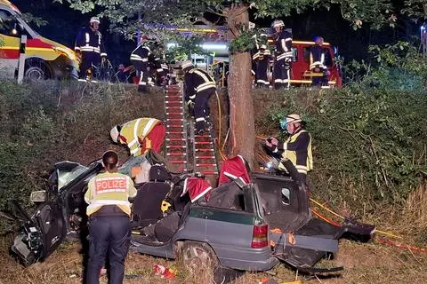 Opel prallt in Dautphetal gegen Baum: Zwei Schwerverletzte